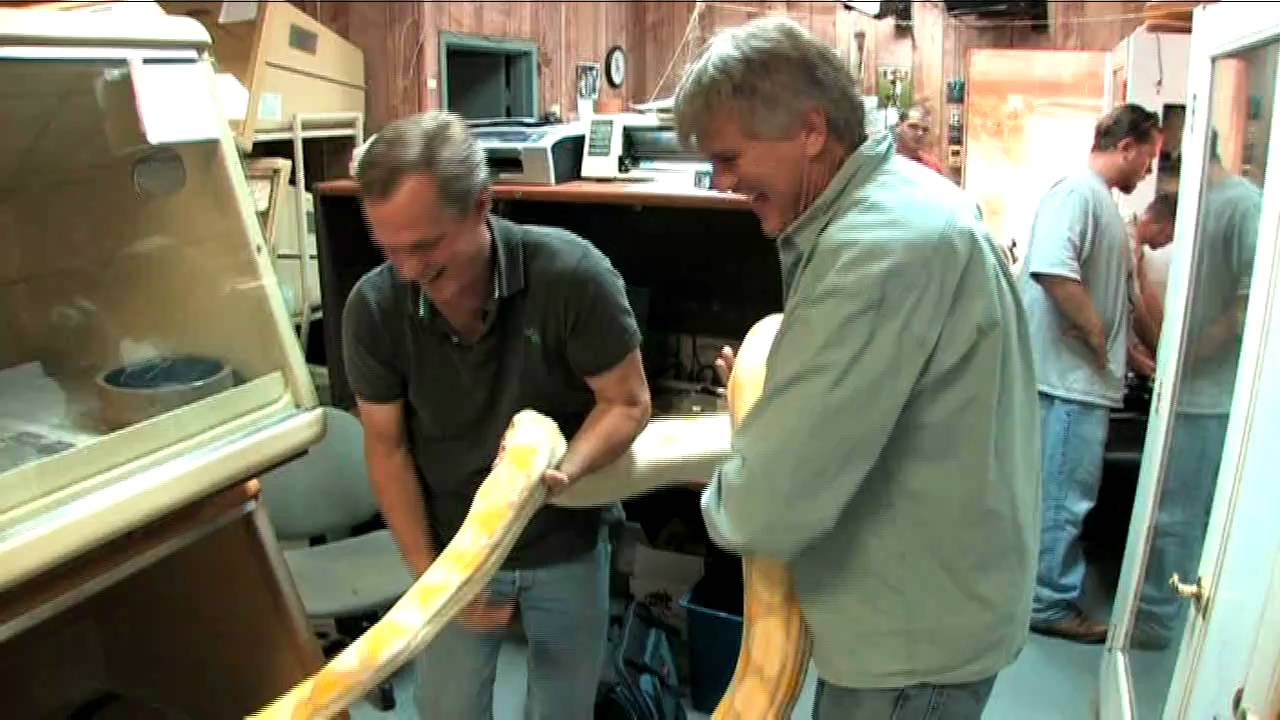 snake collectors.mov - YouTube