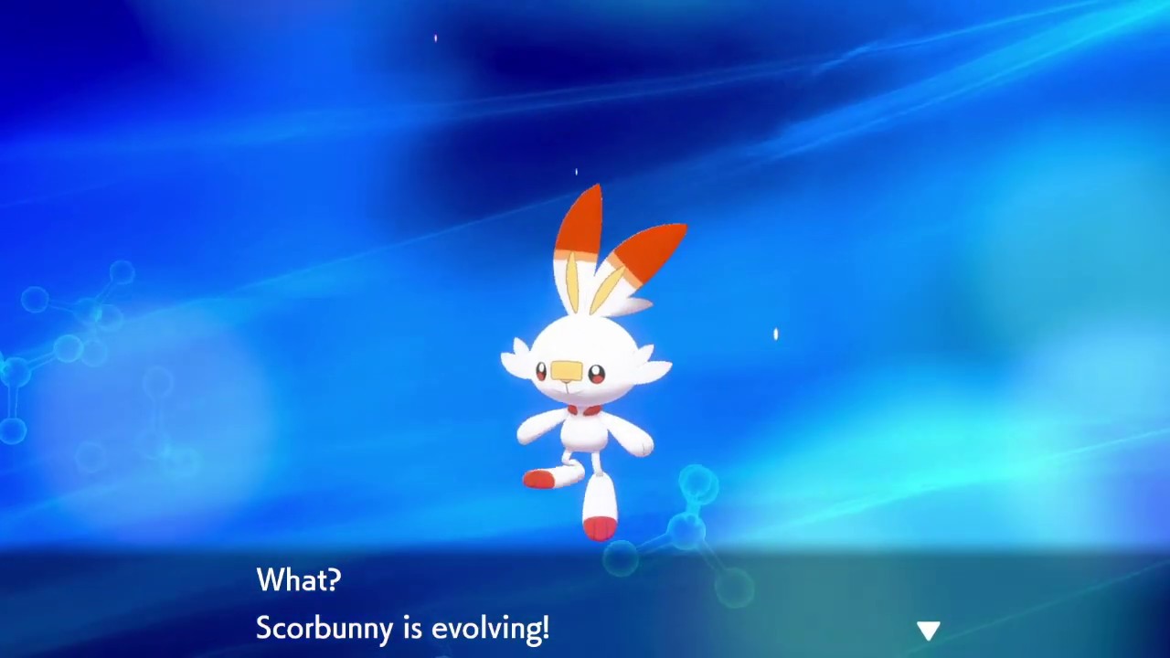 Scorbunny Evolved into.... - YouTube