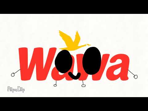 Study (Animation Meme)