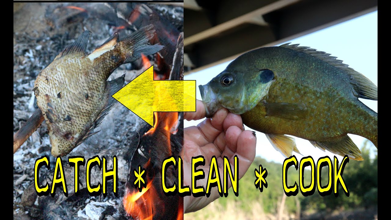PANFISH ON THE FIRE - CATCH CLEAN & COOK - YouTube