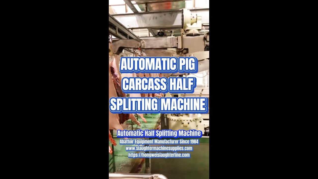 automatic pig carcass half splitting machine Автоматическая машина для ...