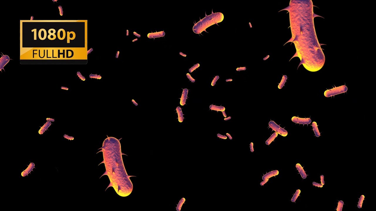 HD Free Bacteria Overlay Motion Graphics - YouTube