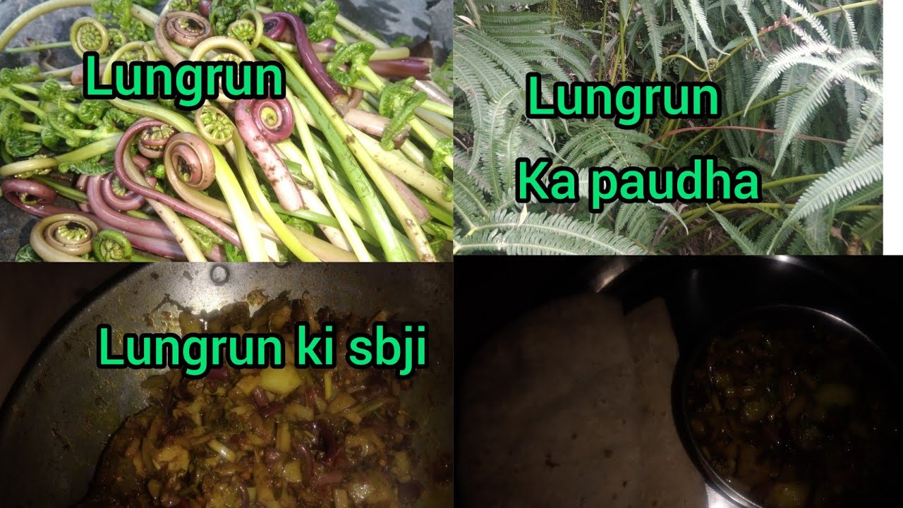 Lungrun ki sabji//Fiddlehead Ferns Recipe//karod//himachli vegetable ...