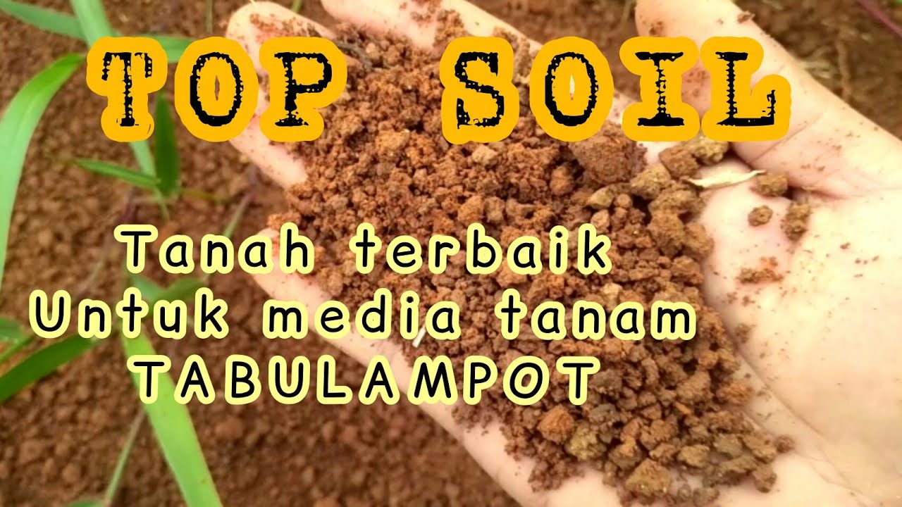 TOP soil || media tanam tabulampot | Tanah merah terbaik - YouTube