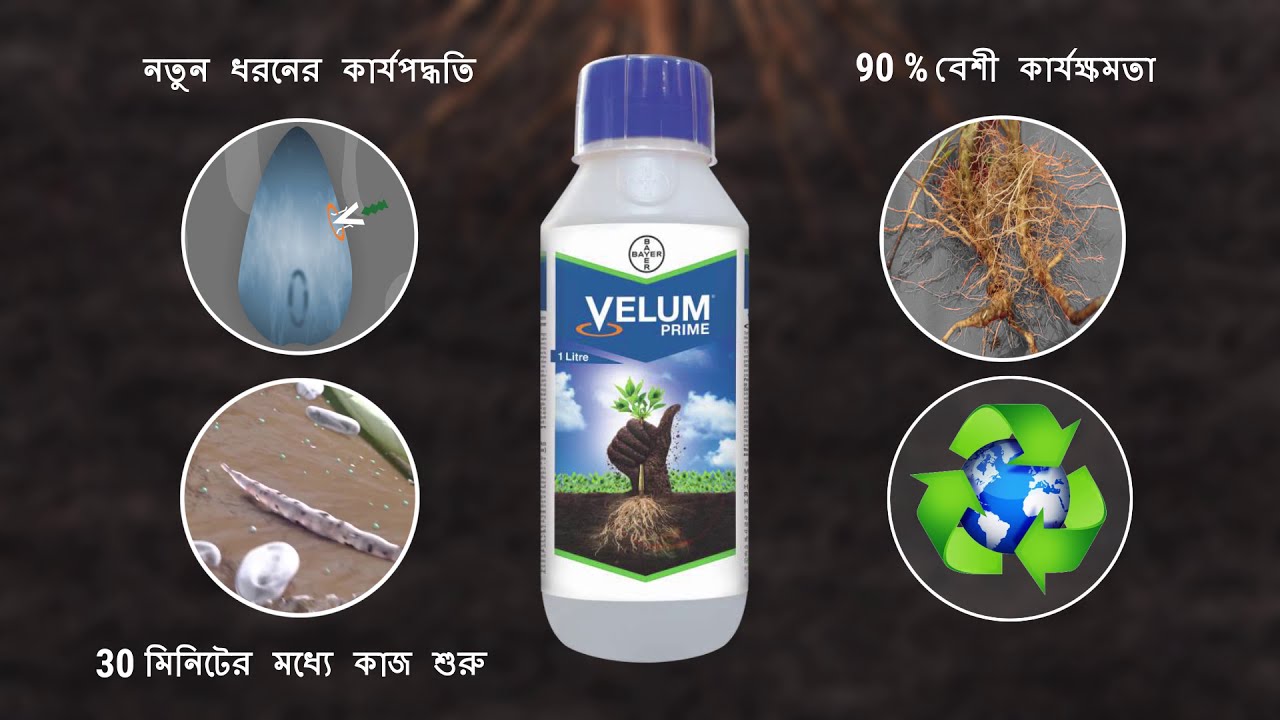 Nematicide: Protect Your Crops from Root Knot Nematodes with Vellum ...