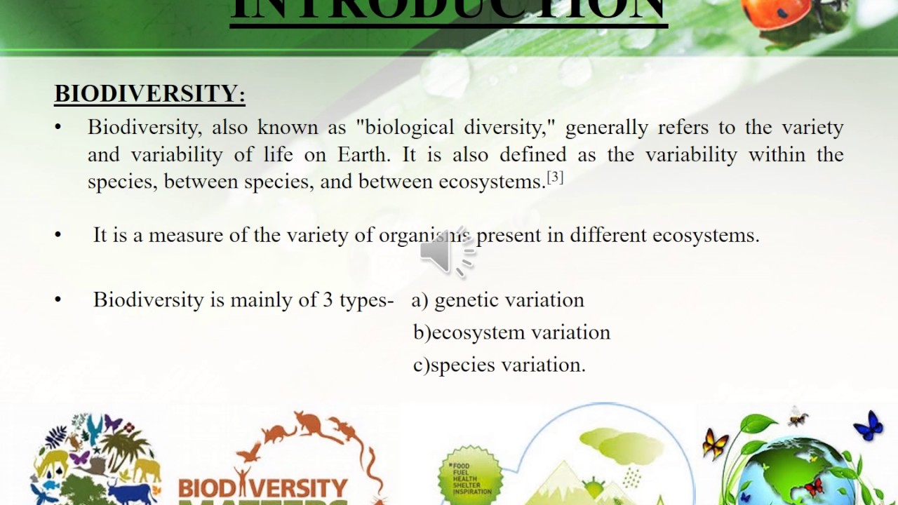 Biodiversity and Sustainable Development: A Crucial Analysis - YouTube
