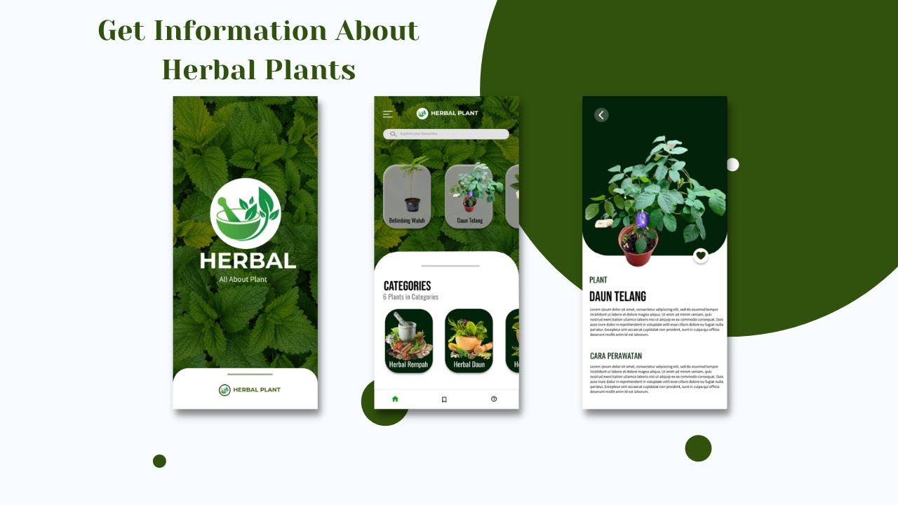 Herbal App Design | UI UX - YouTube
