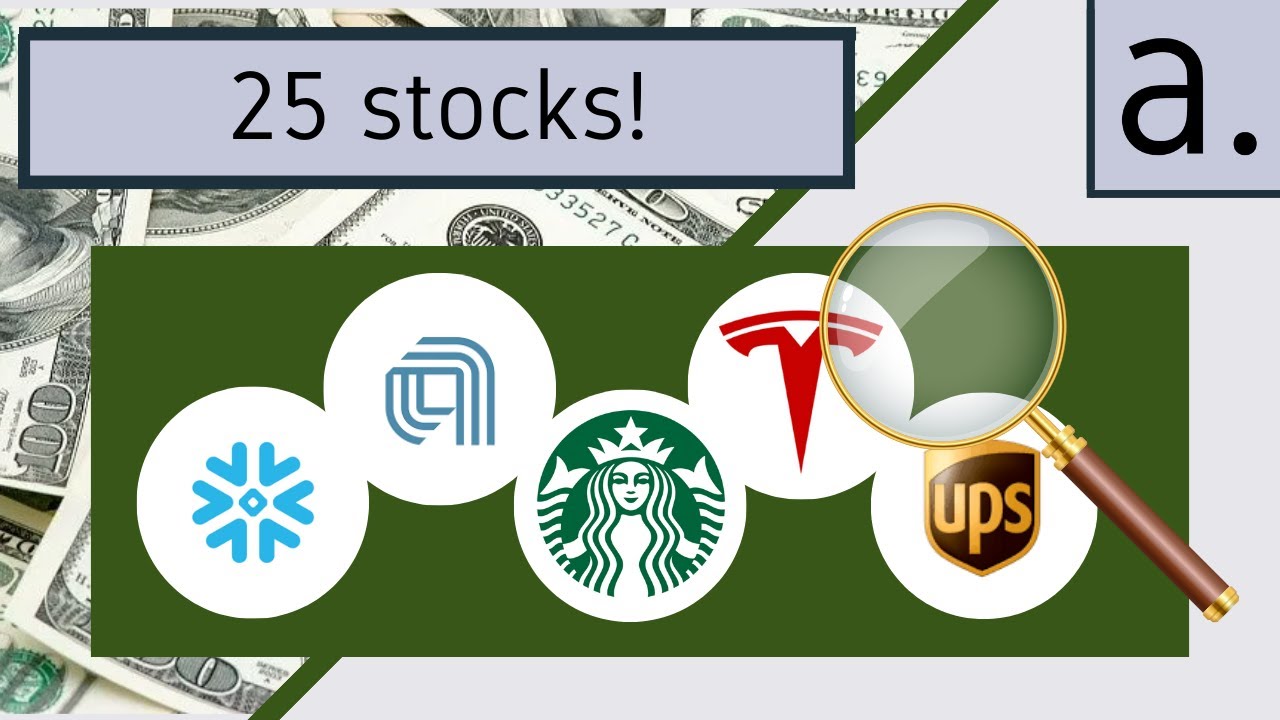 my entire stock portfolio revealed! (25 stocks to buy in 2024) - YouTube