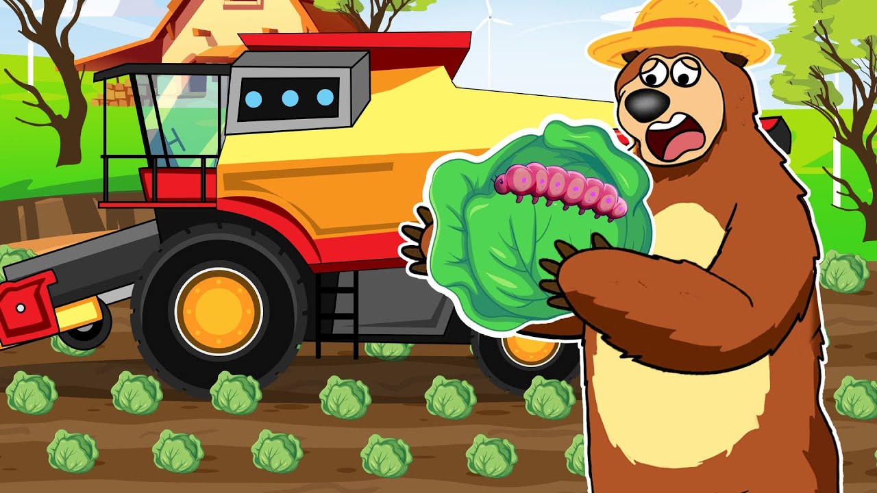 The Bear Farm: Hard-working Bear Farmer Plants Cabbage And Disinfects ...