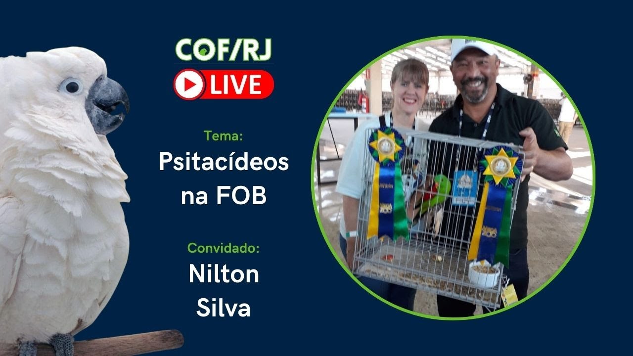 Psitacídeos na FOB, com Nilton Silva - YouTube