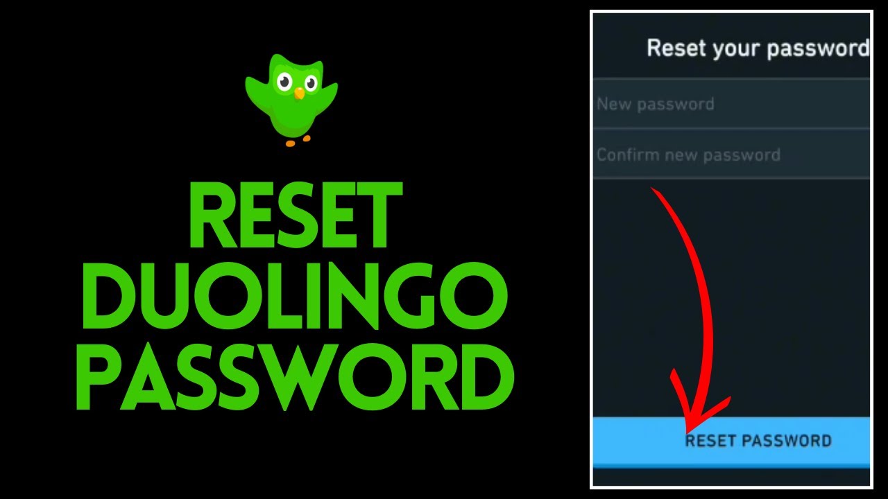 How to Reset Duolingo Account Password 2024 (EASY!) | Reset Account ...