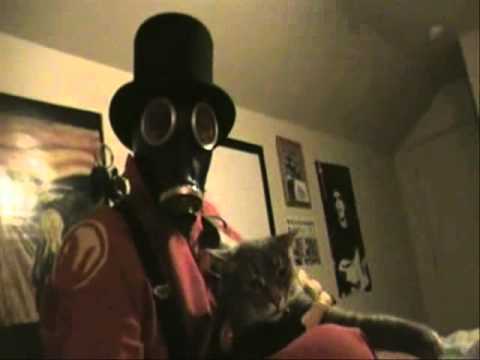 Pyro and the Cat - YouTube