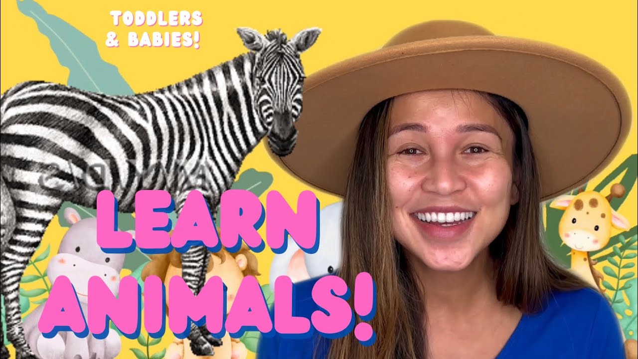 Toddler Learning Animals and Colors for Babies - Learn with Ms Michelle ...