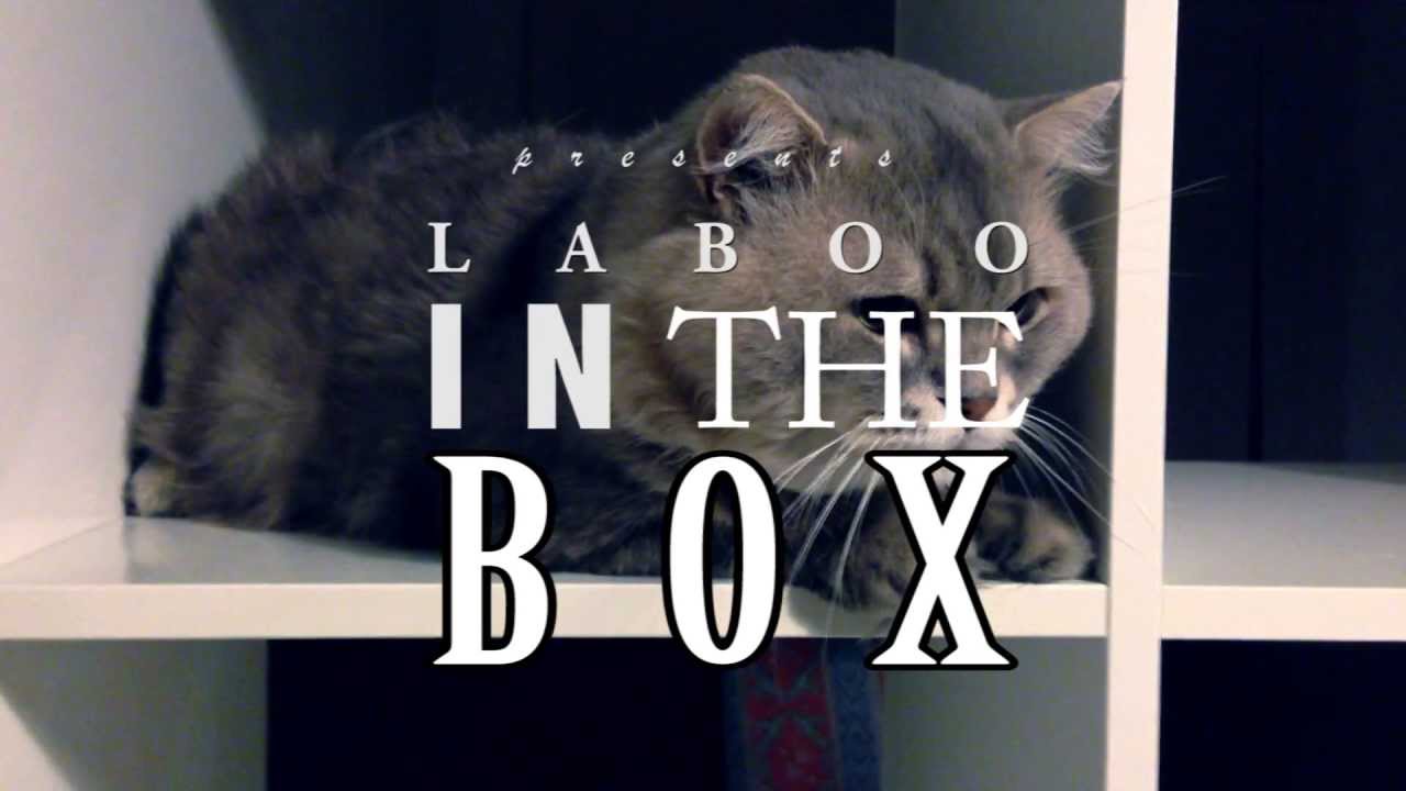 Laboo in The Box Intro - YouTube