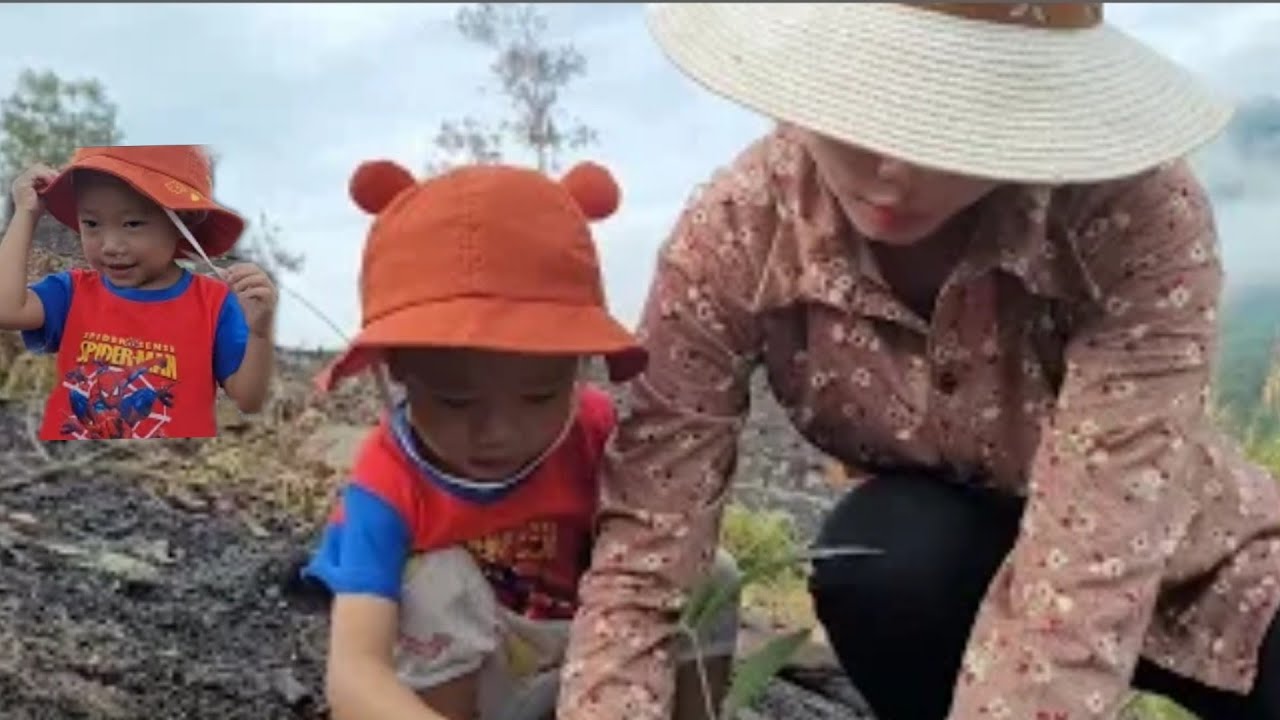 Clearing fields and planting cinnamon trees and gardening at the farm ...
