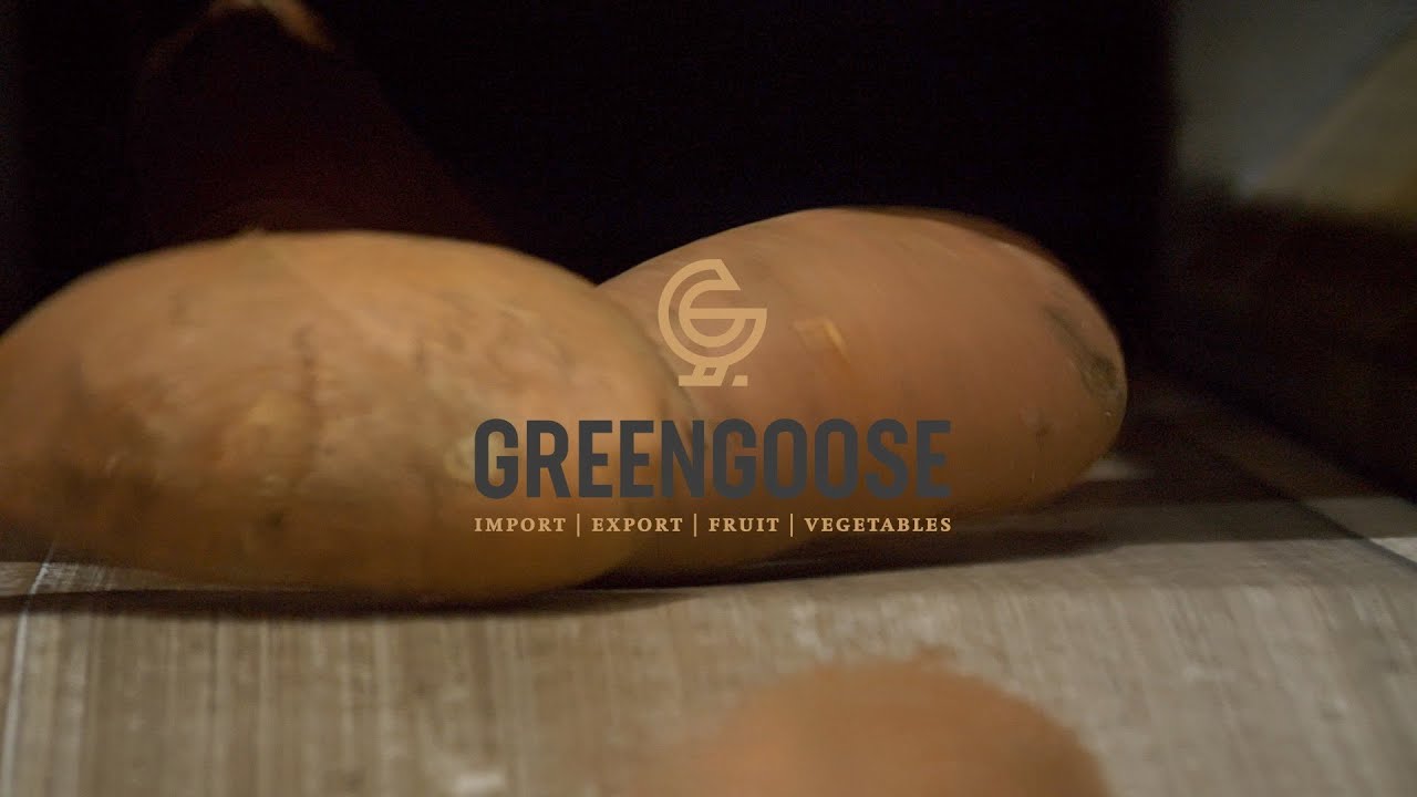 Sweet Potato Sorting & Packaging Machine by GreenGoose - YouTube