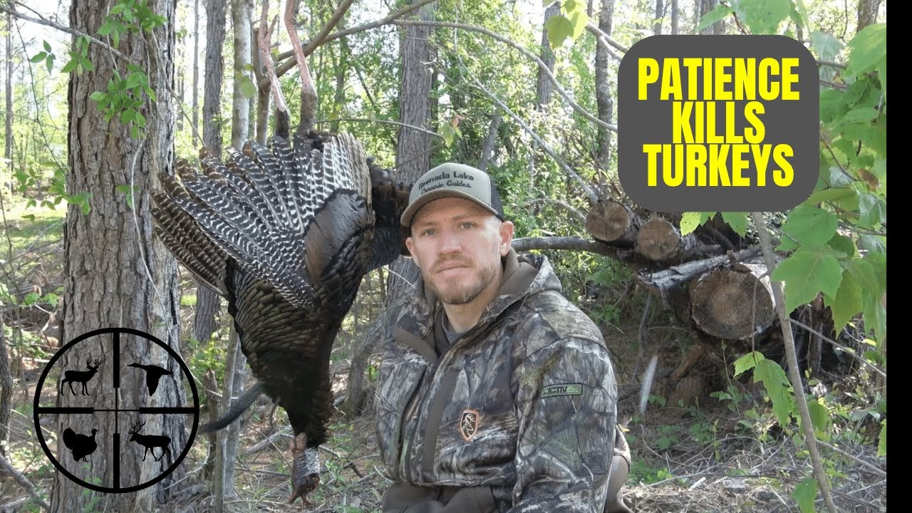 Persistence and Patience Kills the Turkey!!! - YouTube