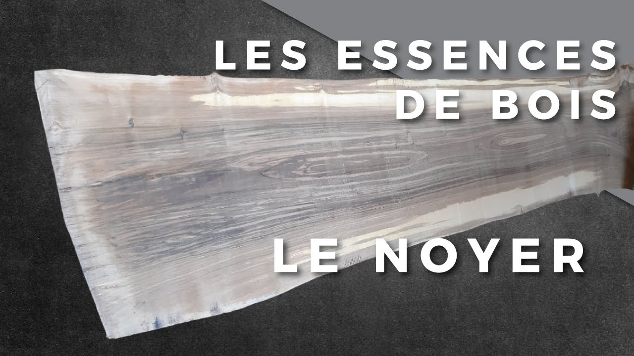 Les Essences de bois - Le Noyer - YouTube
