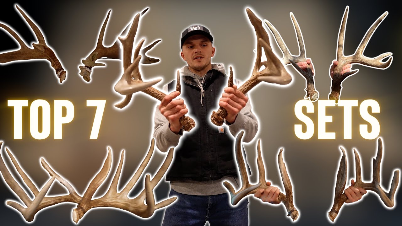 My TOP 7 Whitetail Sets - YouTube