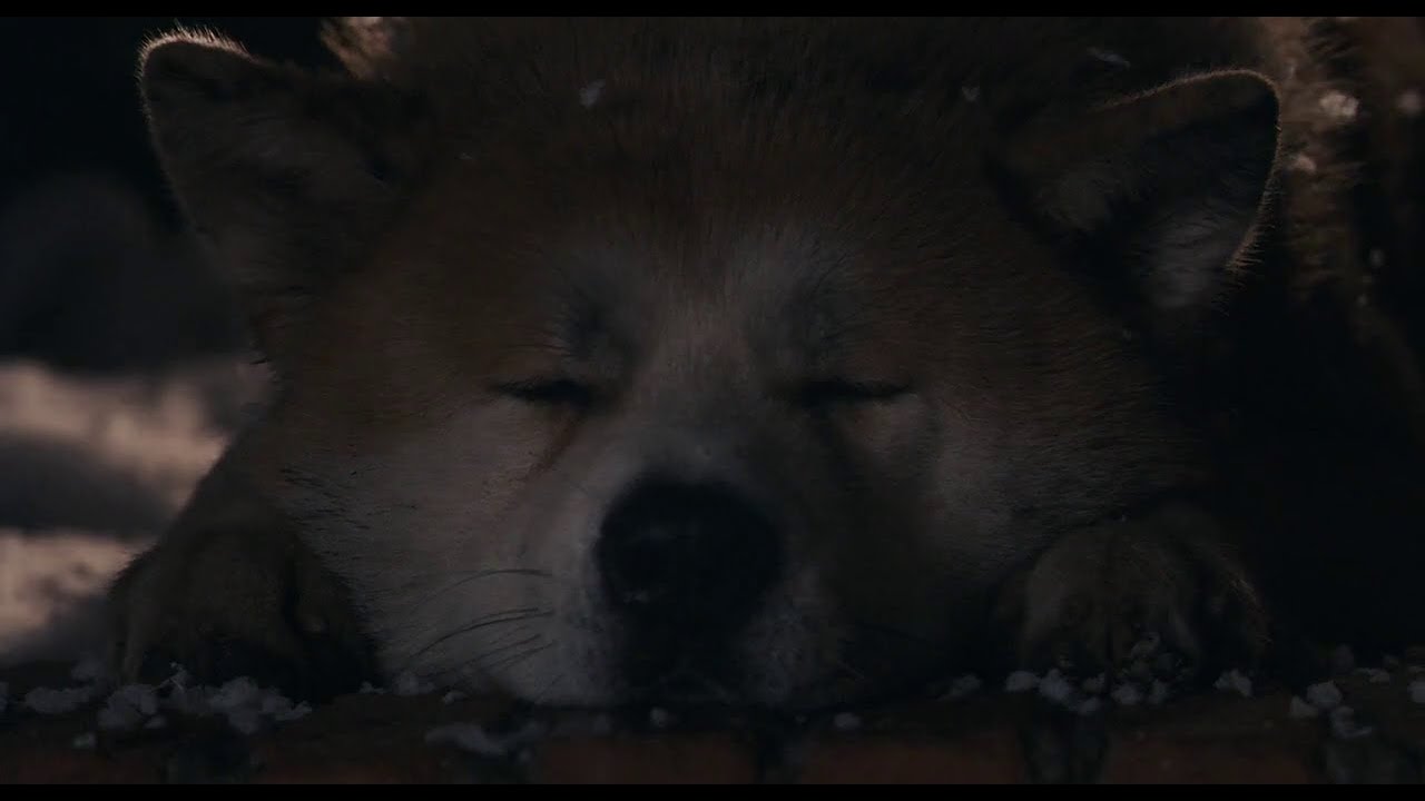 Hachi's last moments (Movie clip) "Hachi: A Dog's Tale" - YouTube