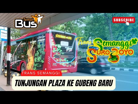 Naik Trans Semanggi Suroboyo dari Tunjungan Plaza ke Stasiun Gubeng Baru Turun di Halte Moestopo ...