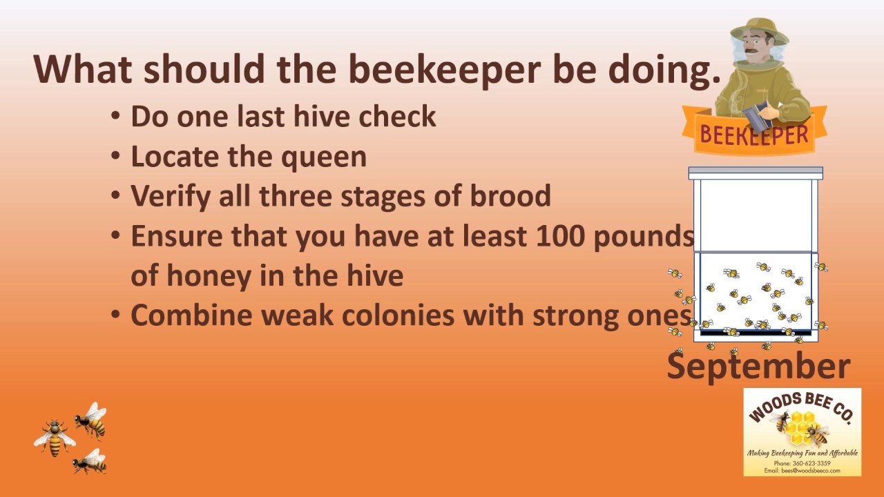 Fall Beekeeping - YouTube