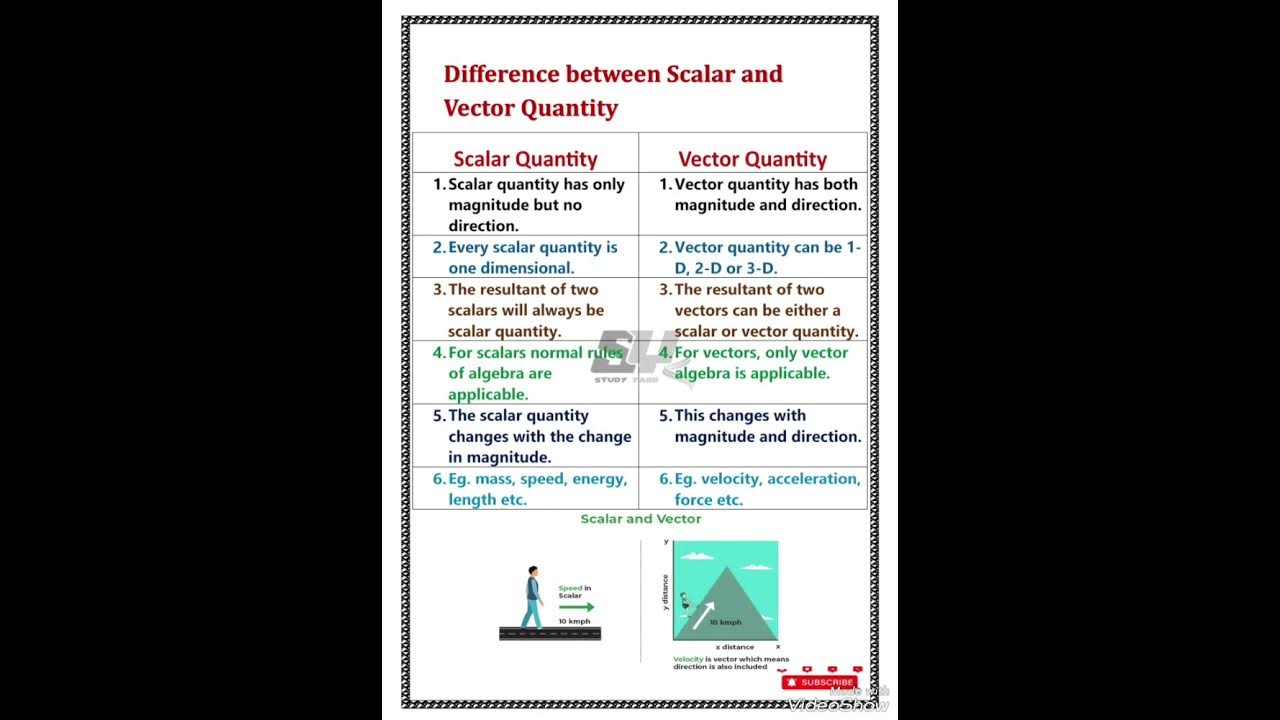 Difference between scalar and vector quantity class 11 - YouTube