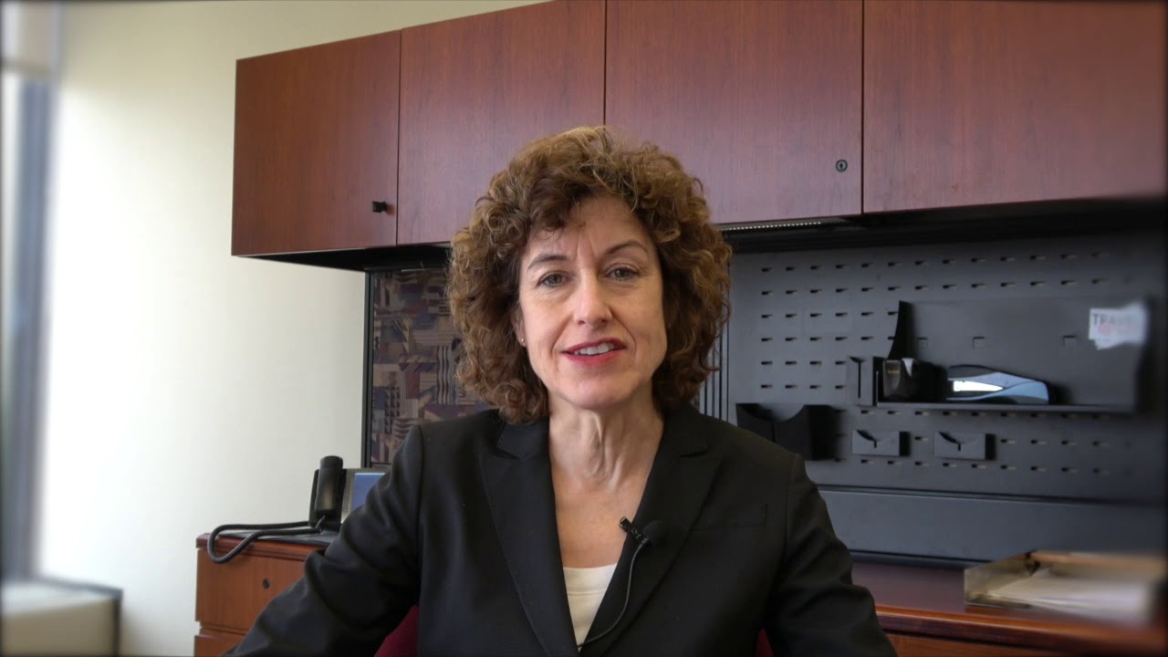 Anne Cascadden of the Consulate General of Canada Detroit Discusses SAA ...