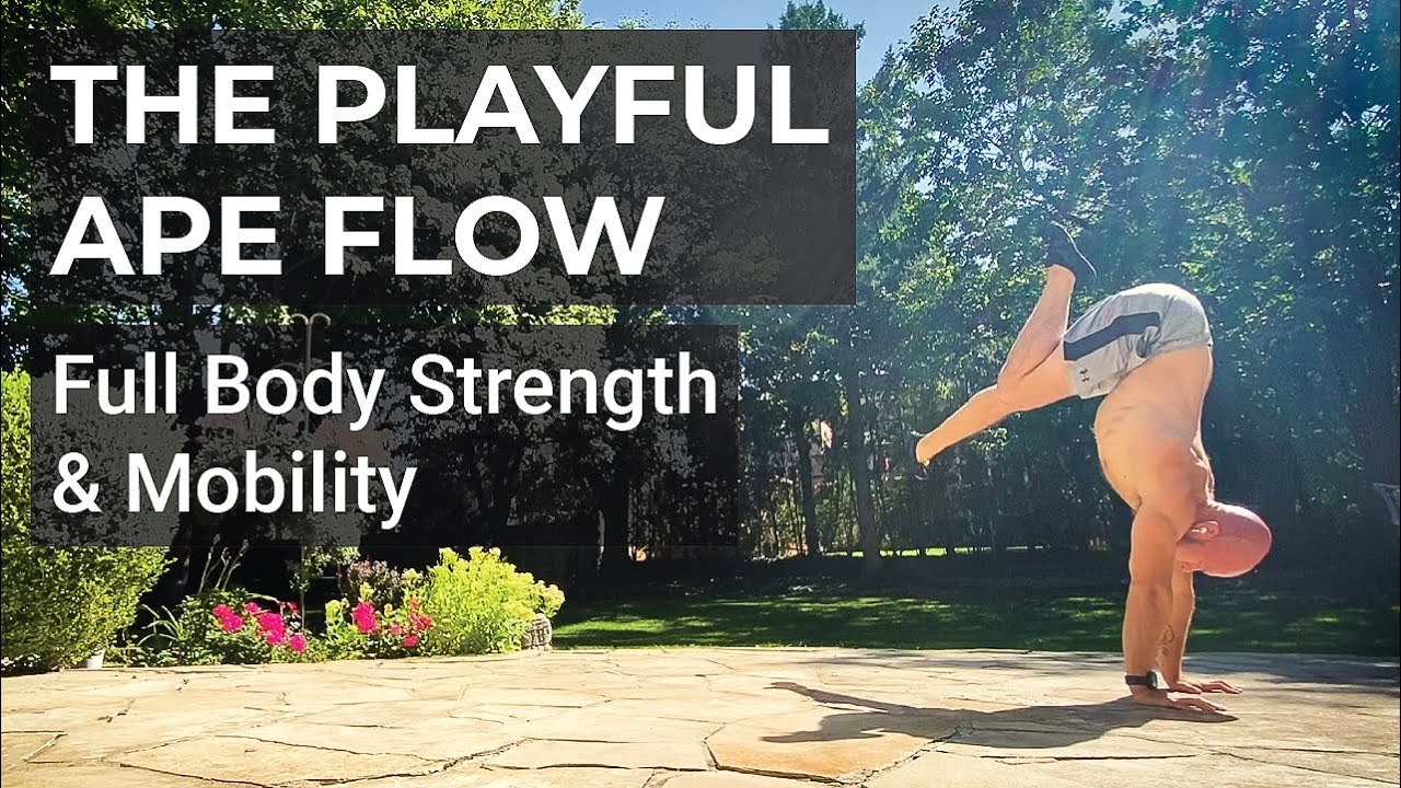Playful Ape Flow - Intermediate Flow for Full Body Strength, Mobility ...