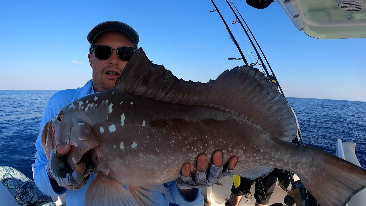 FILLING The Boat with Fish CHALLENGE. *Gulf of Mexico Offshore ...