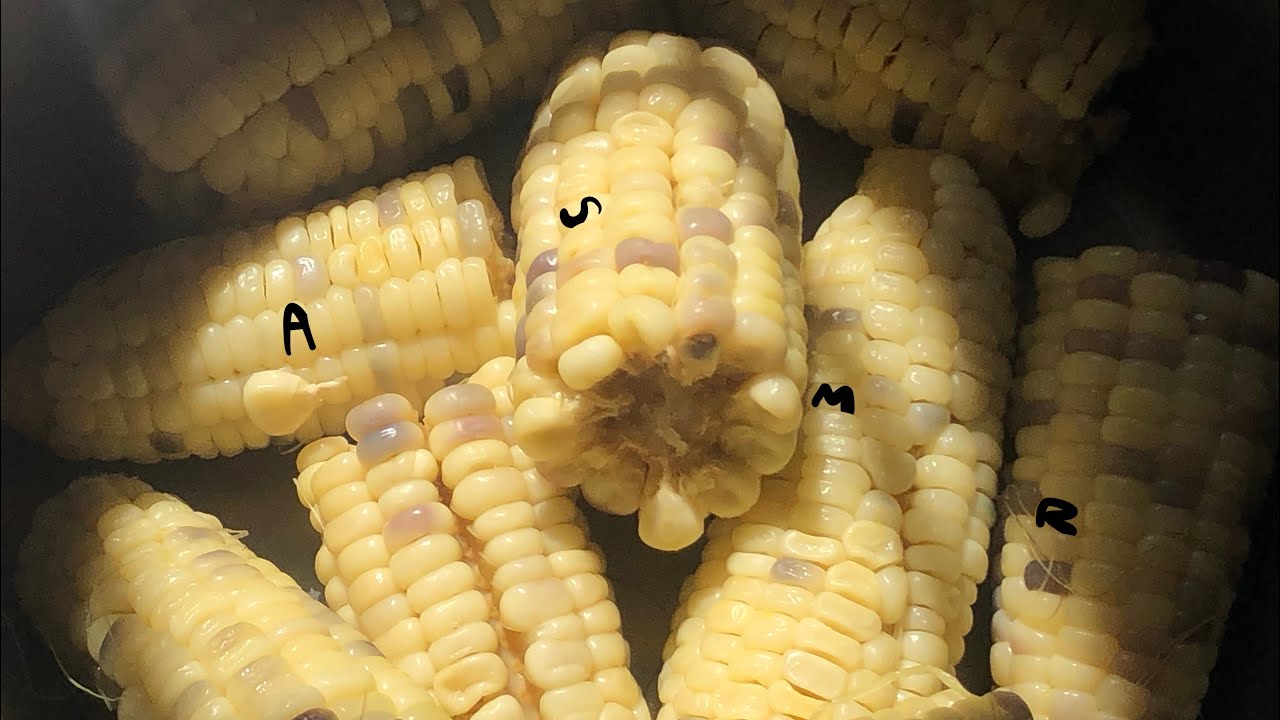 ASMR lofi-Scratching and Tapping-Corn on the cob-No talking - YouTube