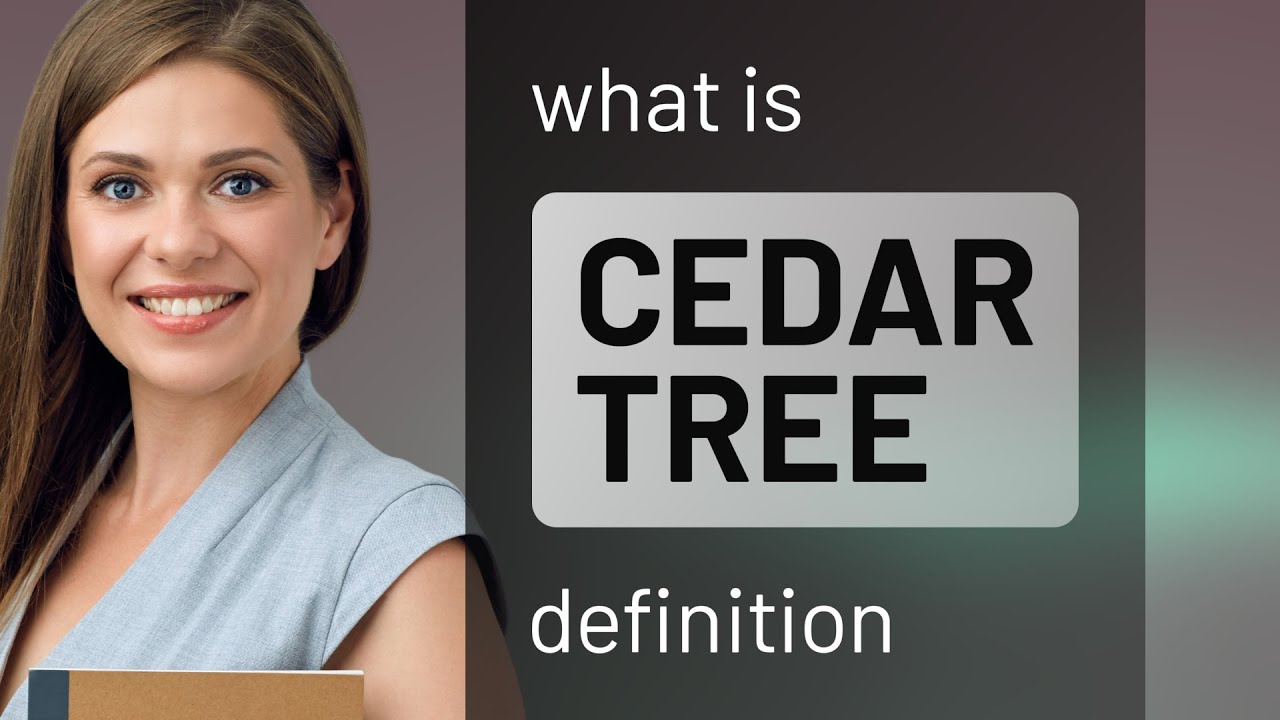 Cedar tree — meaning of CEDAR TREE - YouTube