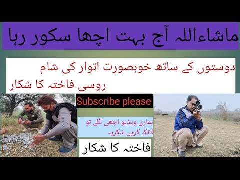 Dove Hunting In Pakistan | Fakhta ka Shikar | Fx berral install in ...