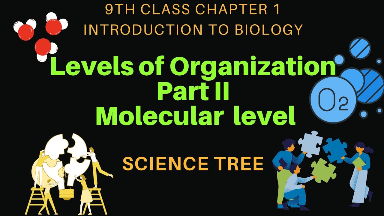 Molecular Level | Micromolecules | Macromolecules - YouTube