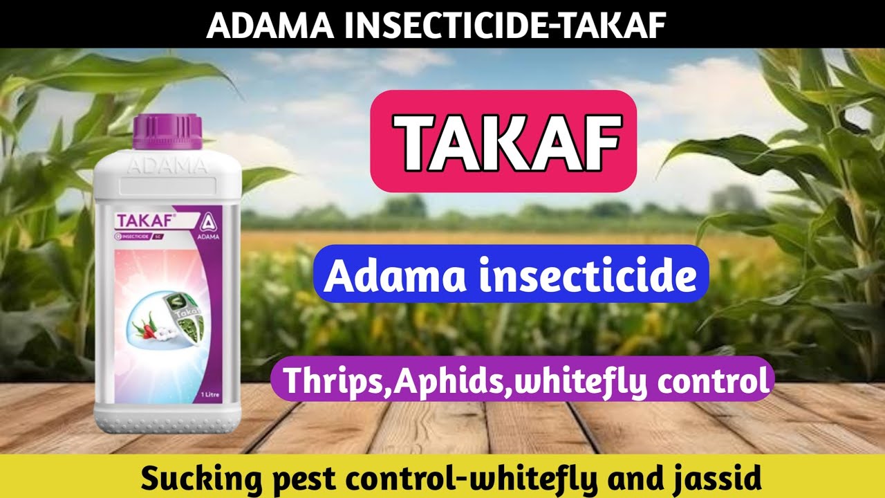 Takaf adama | Adama takaf insecticide | White fly control - YouTube
