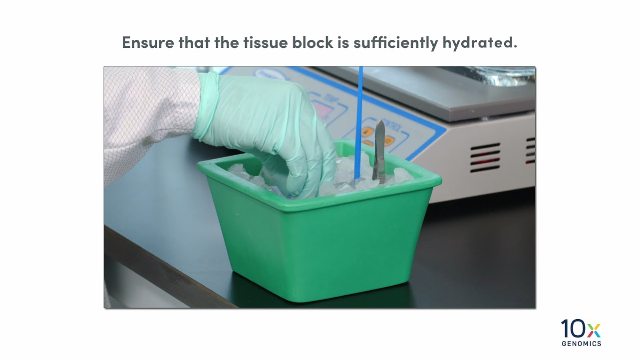 Visium for FFPE Tissue Preparation Protocol | Troubleshooting - YouTube