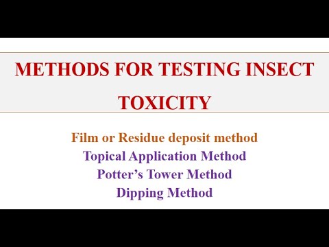 Methods for testing Insect toxicity - YouTube