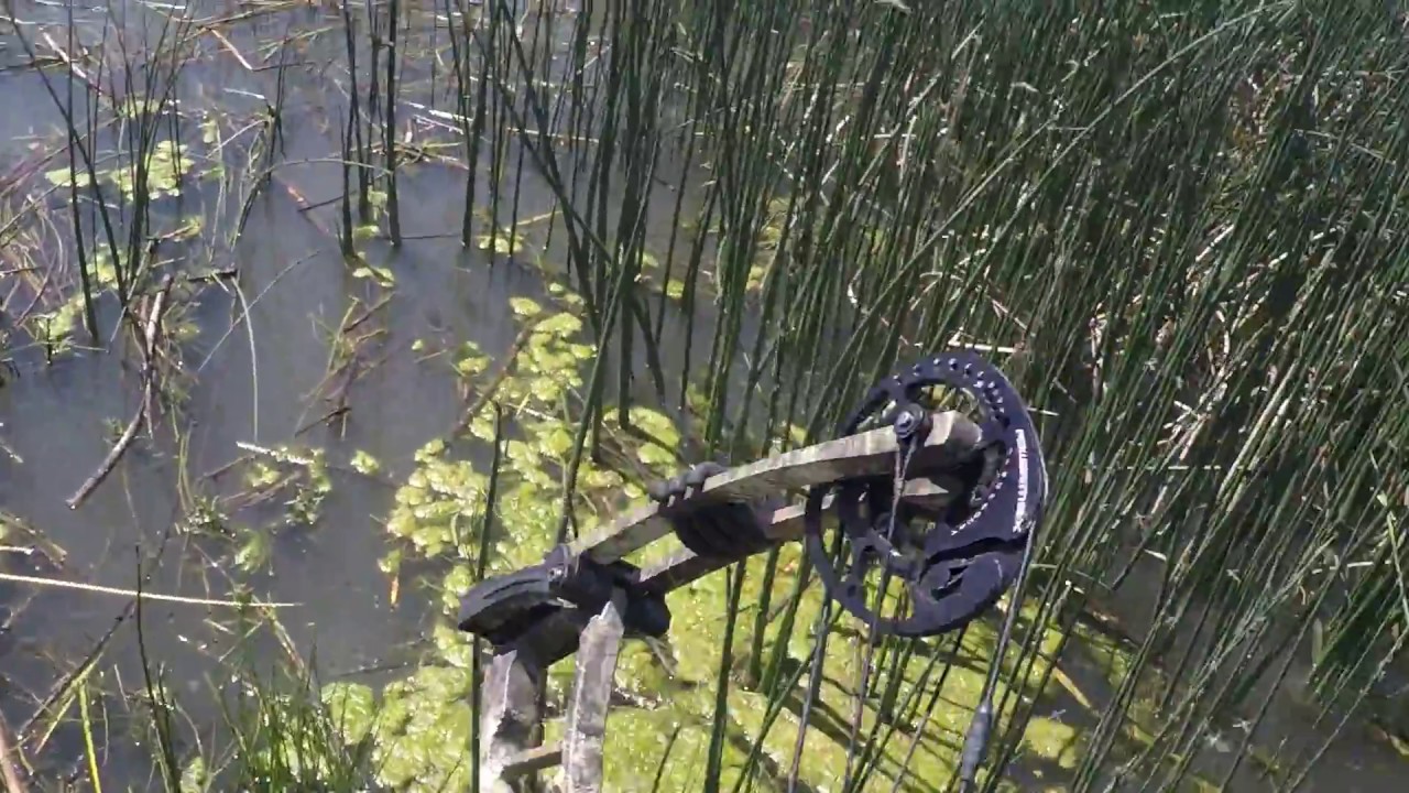 The Hunt for Carp in Utah Lake - YouTube