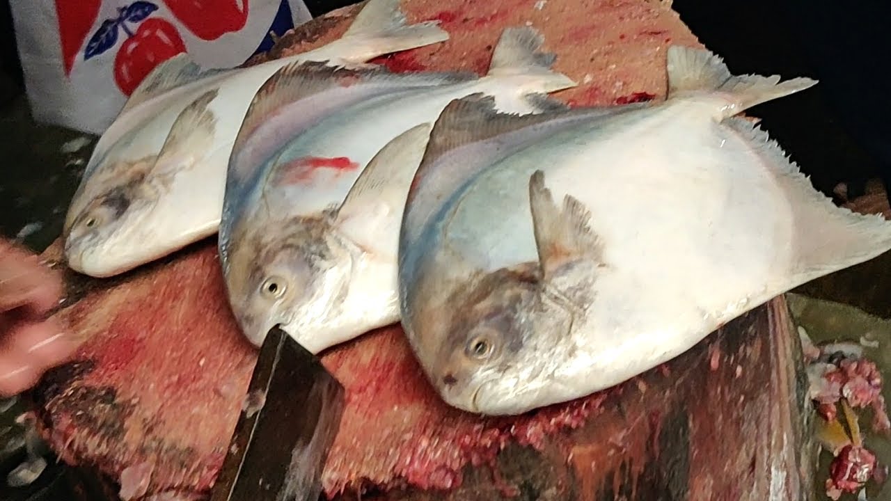 Amazing Cutting Skills - Pomfret Fish Cutting In Fish Market - Fastest ...