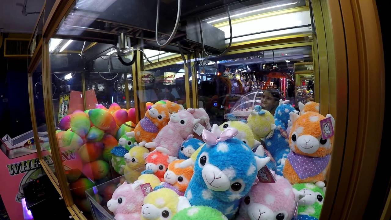 CLAW MACHINE FILLED WITH ADORABLE ALPACA PLUSH - YouTube