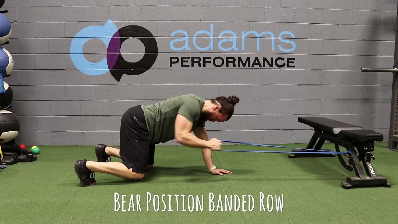 Bear Position Banded Row - YouTube