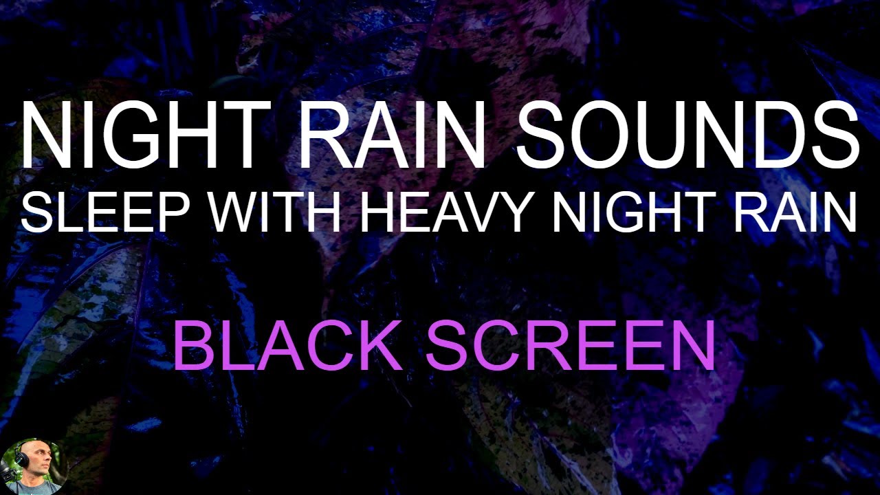 Fall Asleep In 5 Minutes Heavy Rain On Leaves, BLACK SCREEN Rain Sounds ...
