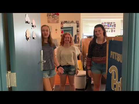 UNIVERSITY OF PITTSBURGH HOLLAND HALL DORM TOUR (quad) - YouTube