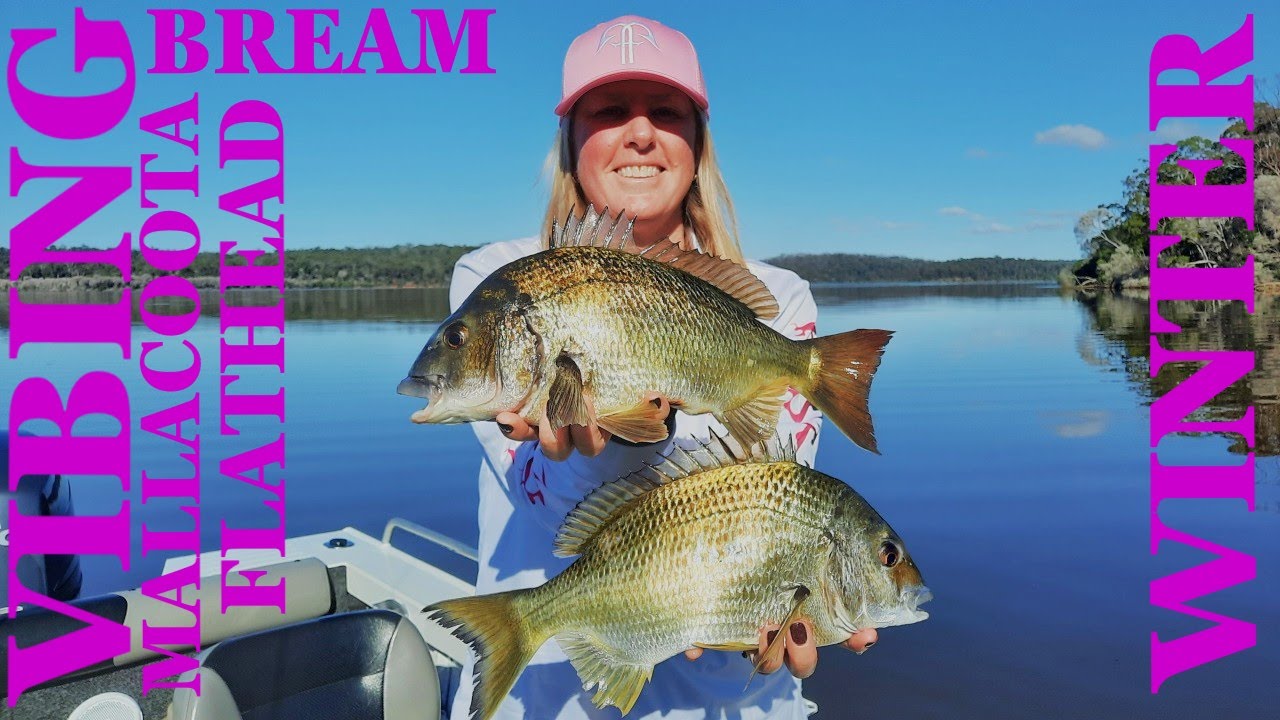 Vibing for Bream and Flathead at Mallacoota - YouTube