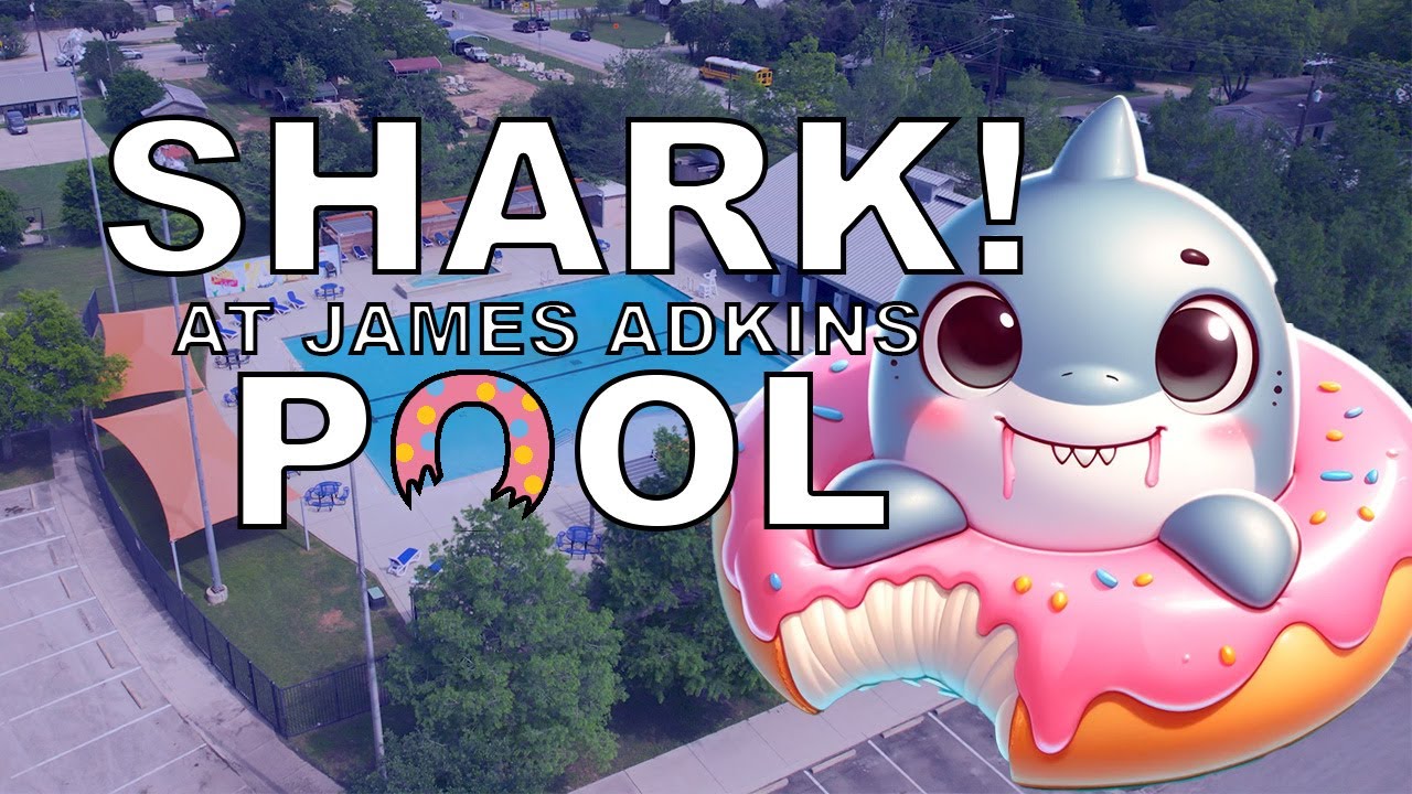 Shark at James Atkins Pool - YouTube