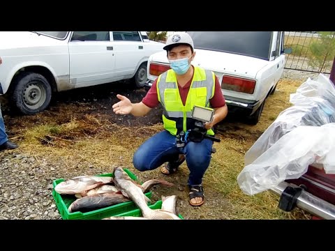 Maşın Bazarı - Mırt Maraqlı Anlar Kamera Arxası