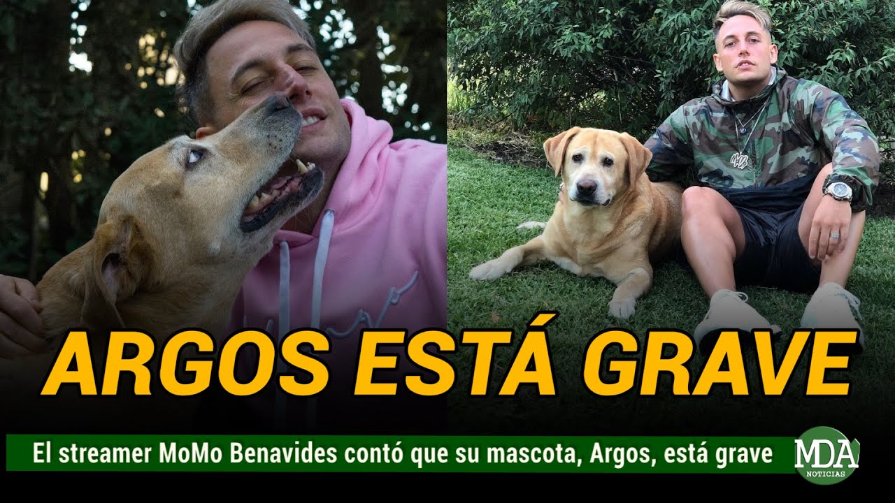 MOMO BENAVIDES contó que su perro ARGOS, está GRAVE - YouTube