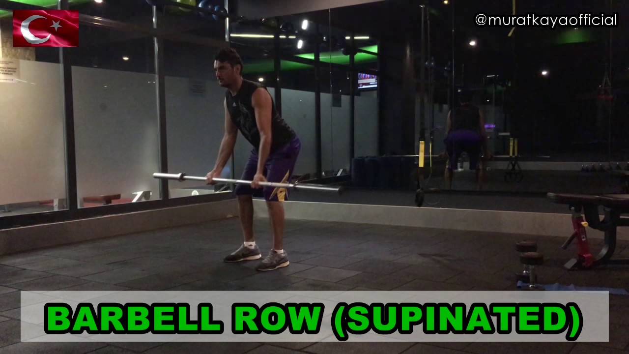 BARBELL ROW SUPINATED - YouTube