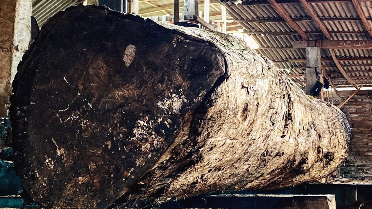 Amazing black giant teak wood processed in the factory - YouTube