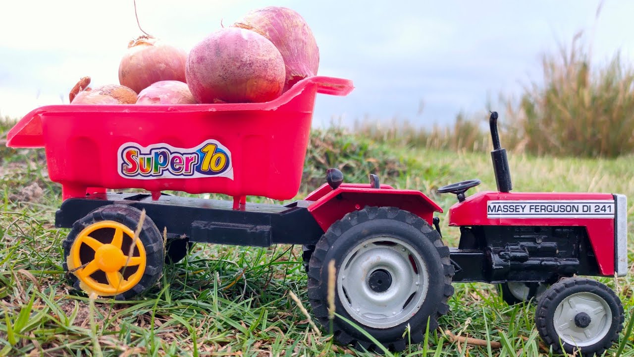 Messy Ferguson 241 di tractor with heavy loaded vegetable onion | Toyz ...